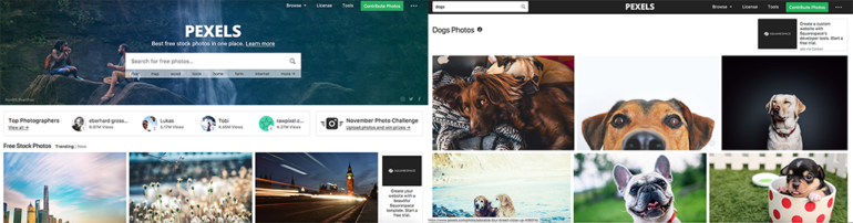 A Guide to Legally Using Images from The Internet - Asia Law Network Blog